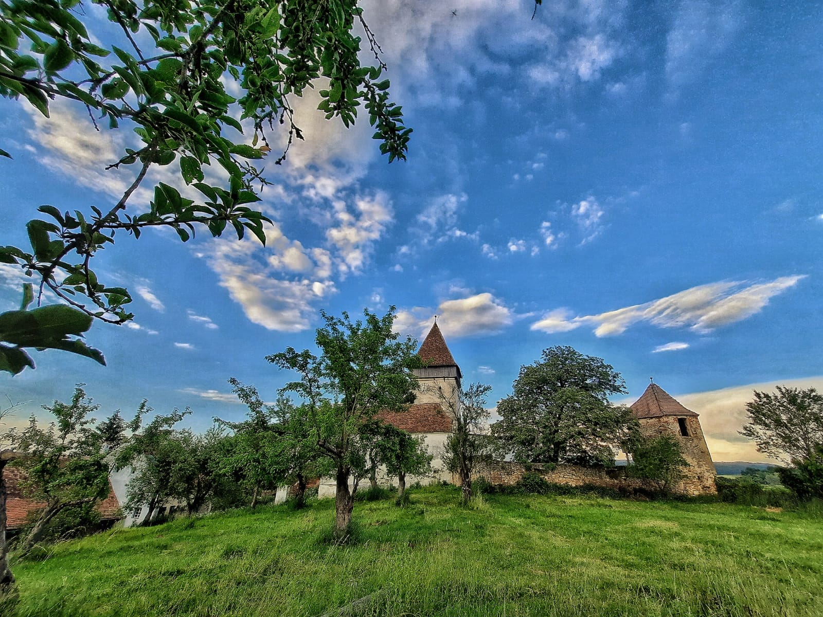 Ajutor - Adrian Bratu Psiholog Sibiu